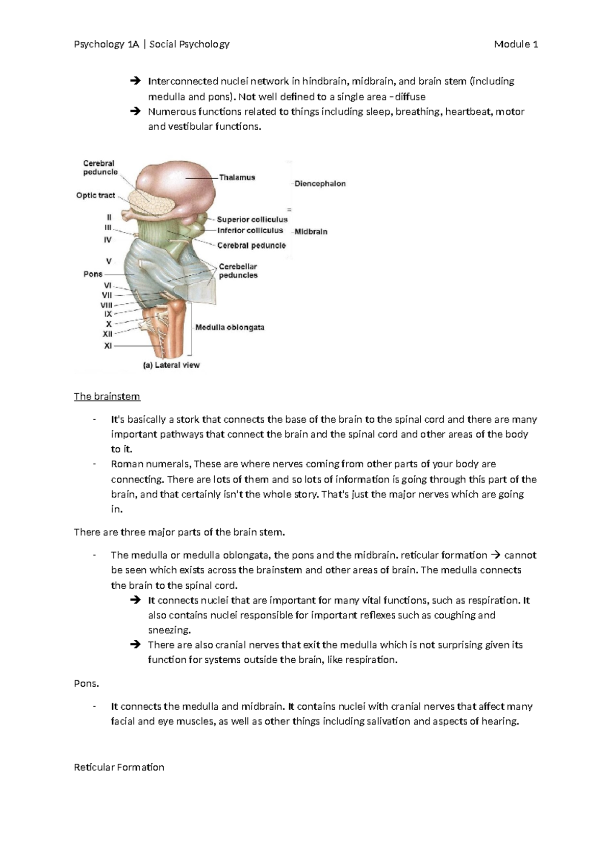 Psychology FULL Notes-3 - Interconnected nuclei network in hindbrain ...
