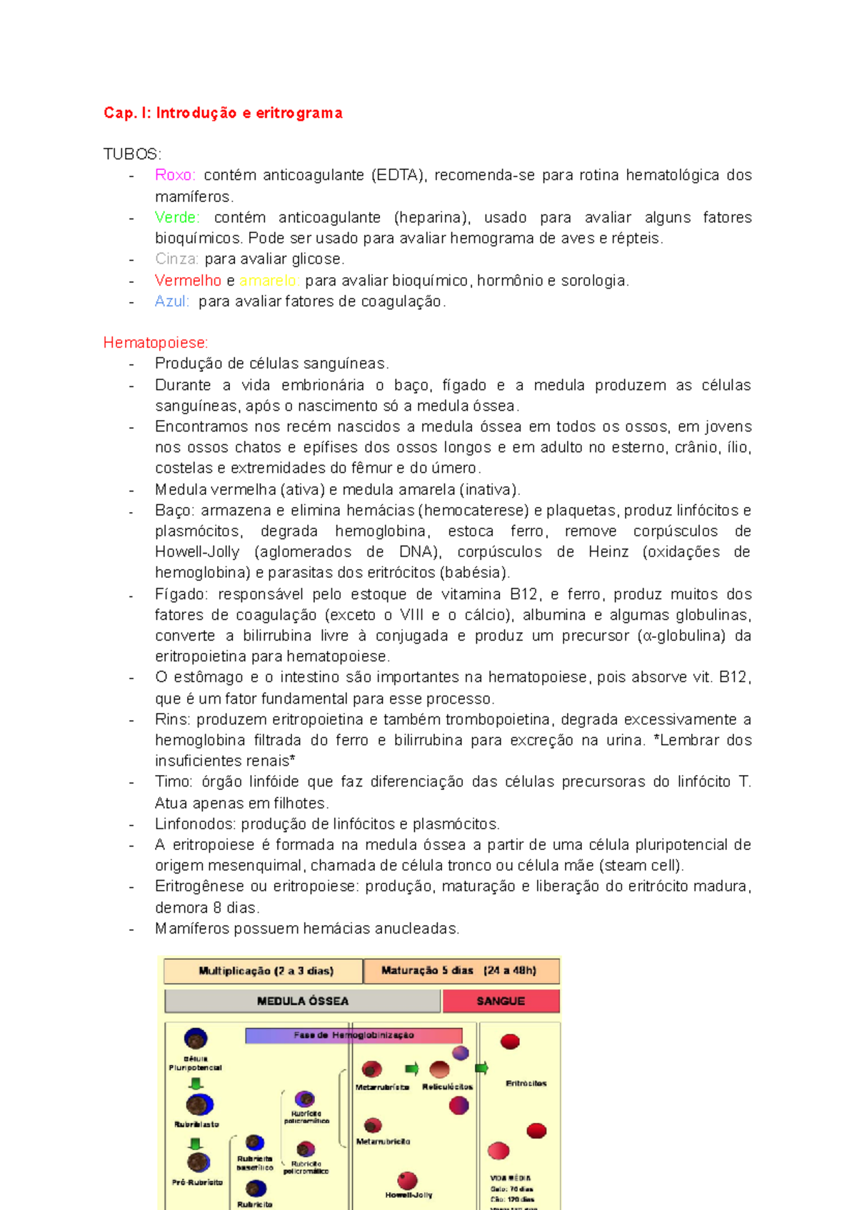 Patologia Clínica - Cap. I: Introdução e eritrograma TUBOS: - Roxo ...