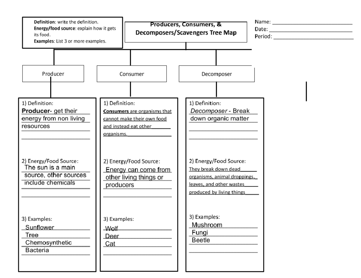Producers, Consumers, Decomposers Tree Map - Studocu