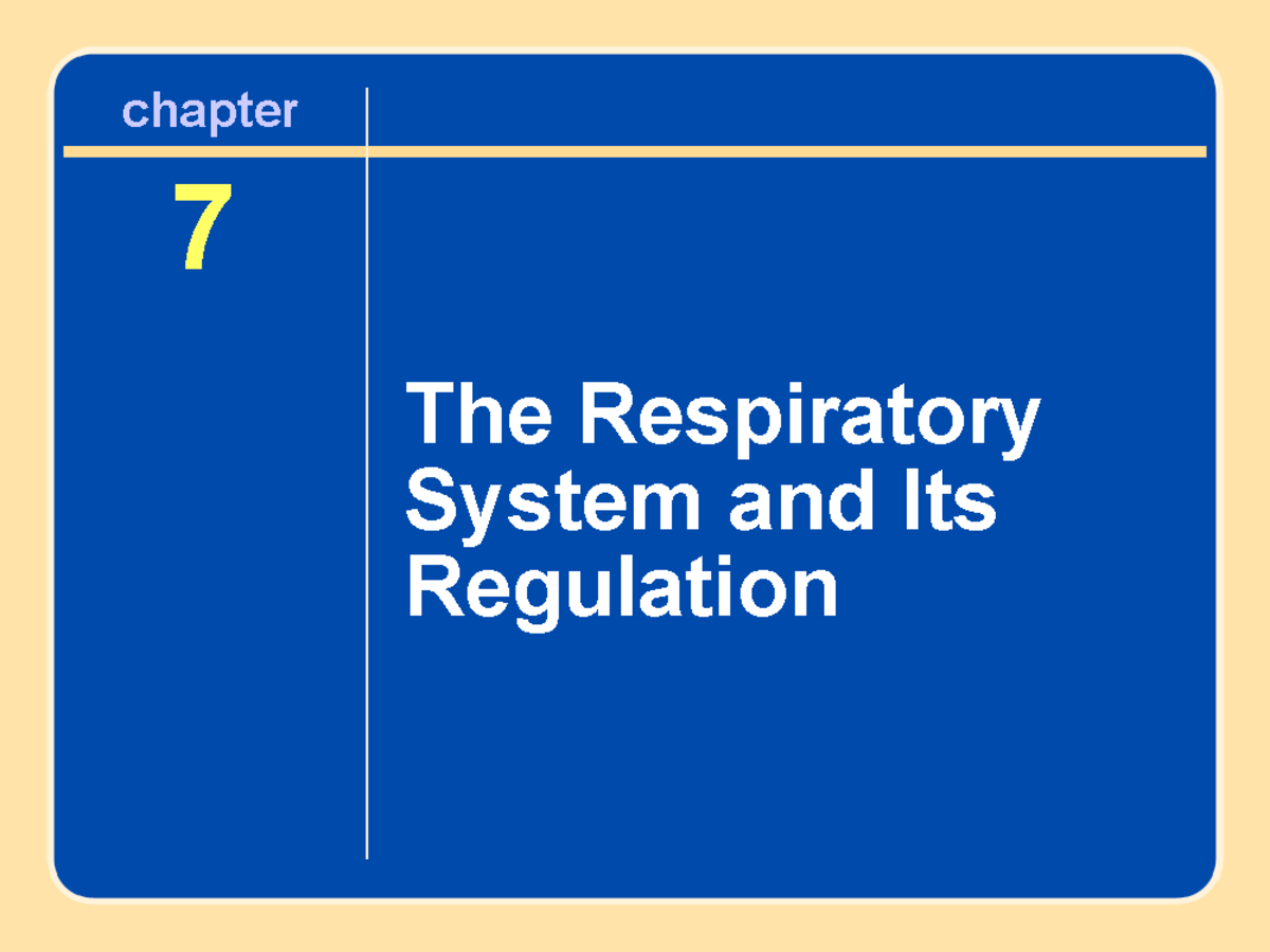 Lecture slides, lecture 14 - respiratory system and its regulation - 7 ...