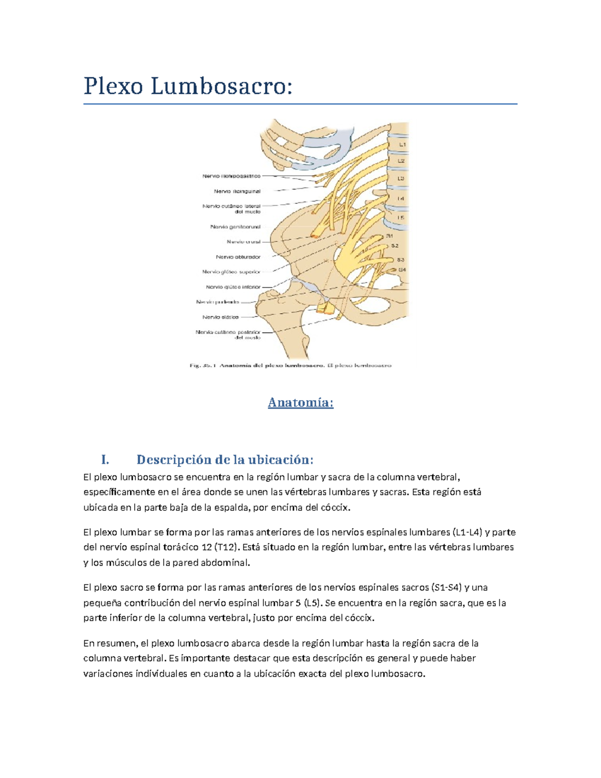 Plexo Lumbosacro - Resumen Anatomía - Plexo Lumbosacro: Anatomía: I. Descripción de la ubicación ...