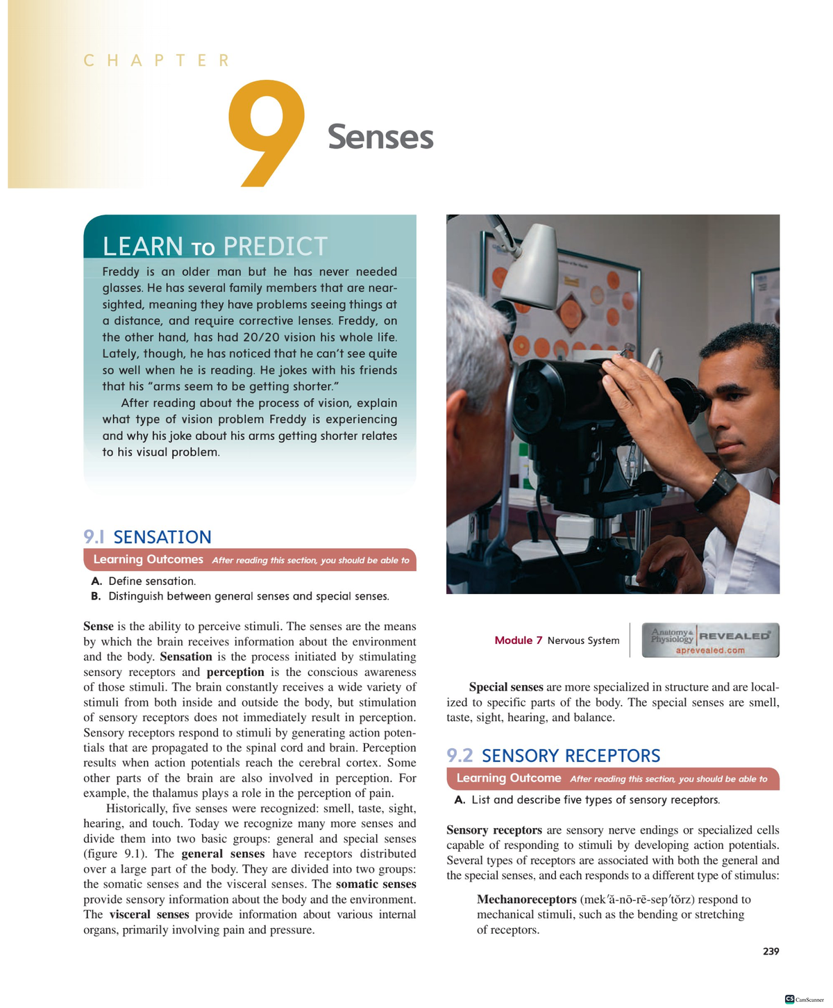 Chapter 09 - Senses - Lecture notes... - Bachelor of Civil Engineering ...