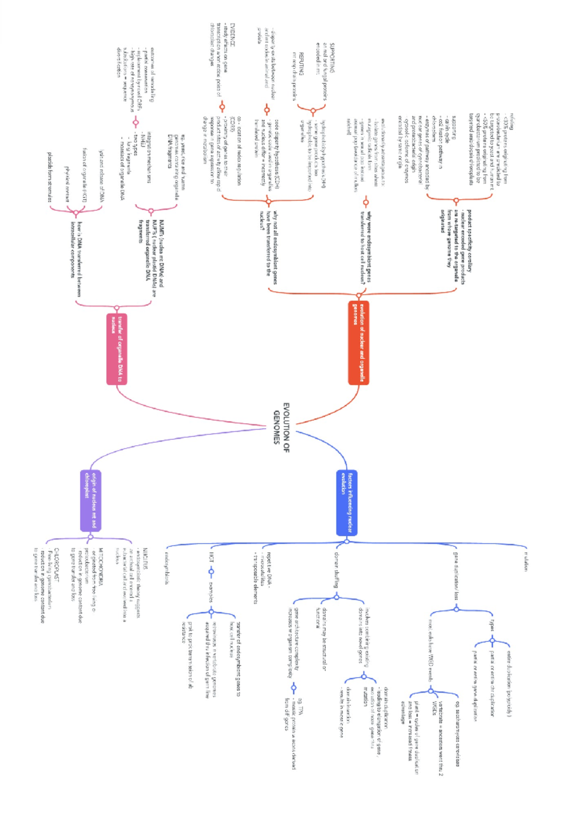 L4/5 Evolution OF Genomes mindmap and questions - What are the major ...