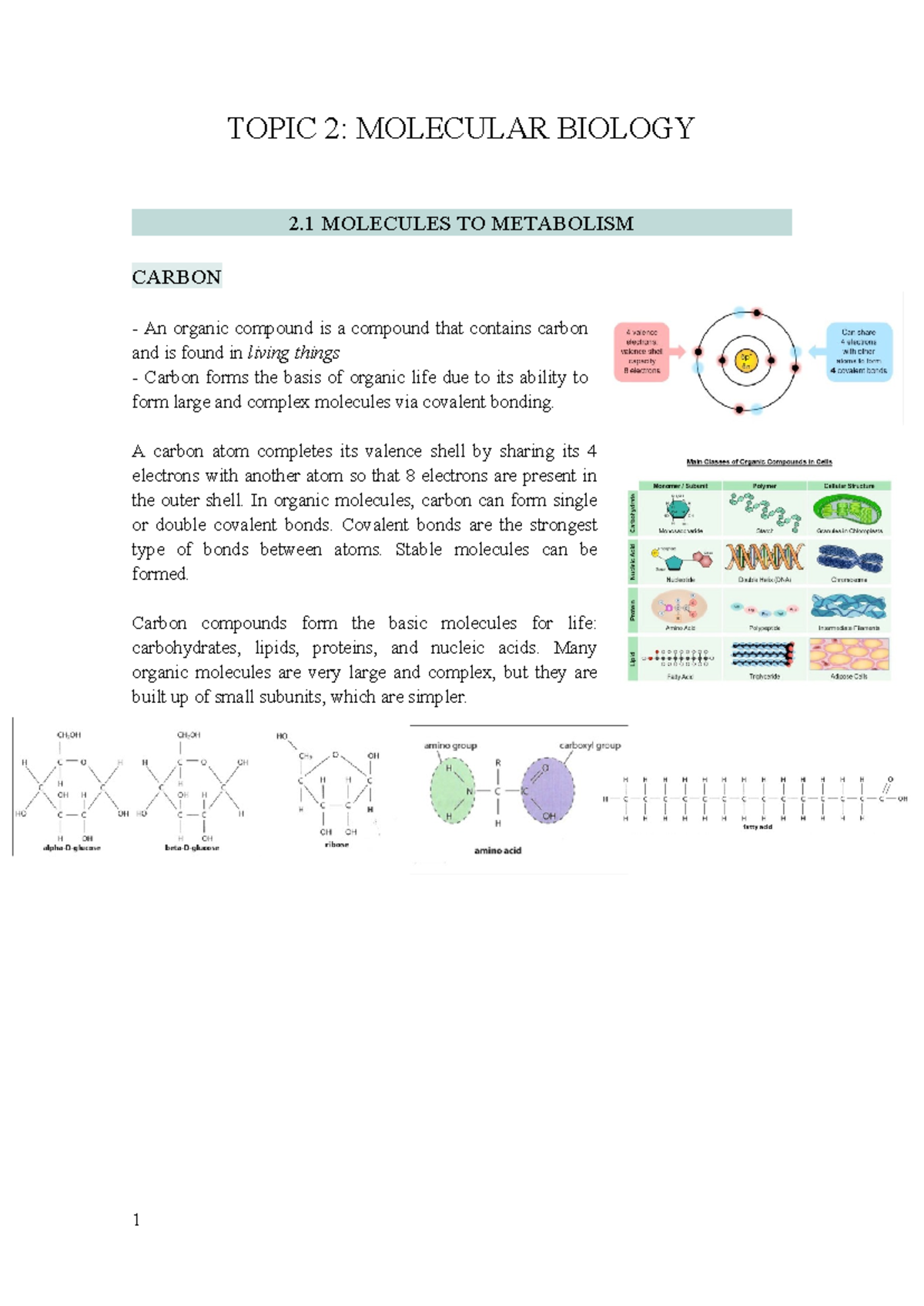Topic 2- Molecular biology - TOPIC 2: MOLECULAR BIOLOGY 2 MOLECULES TO ...
