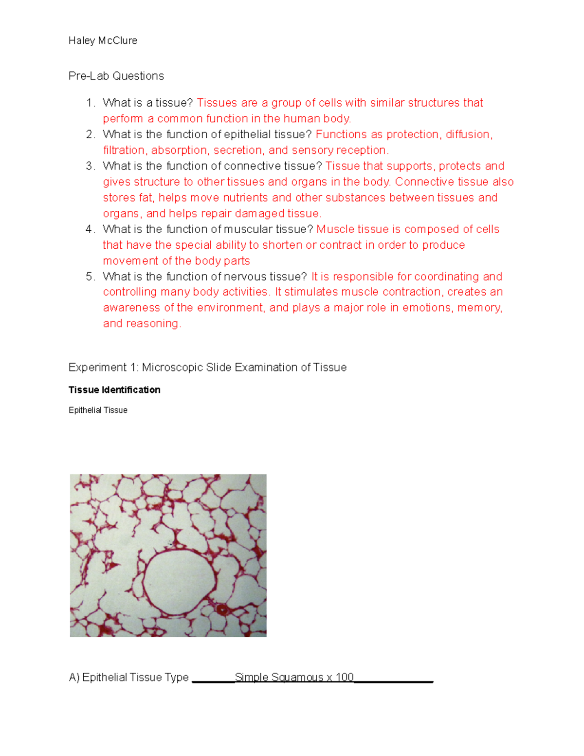 Histology -2 - Lab for Anatomy and Physiology - Pre-Lab Questions 1 ...