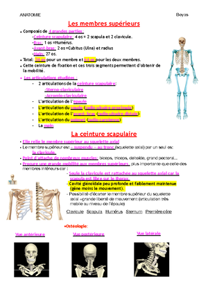 Anatomie descriptive et fonctionnelle du système locomoteur - Anatomie descriptive et ...
