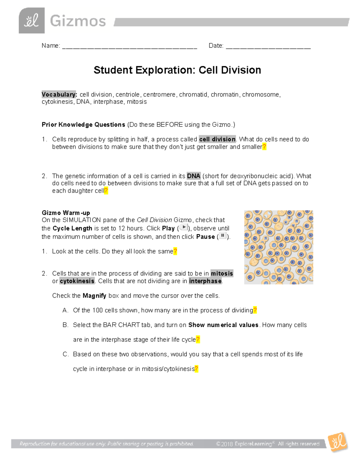 Cell Division SE - he Incredible Science of Epigenetics: Unlocking the ...