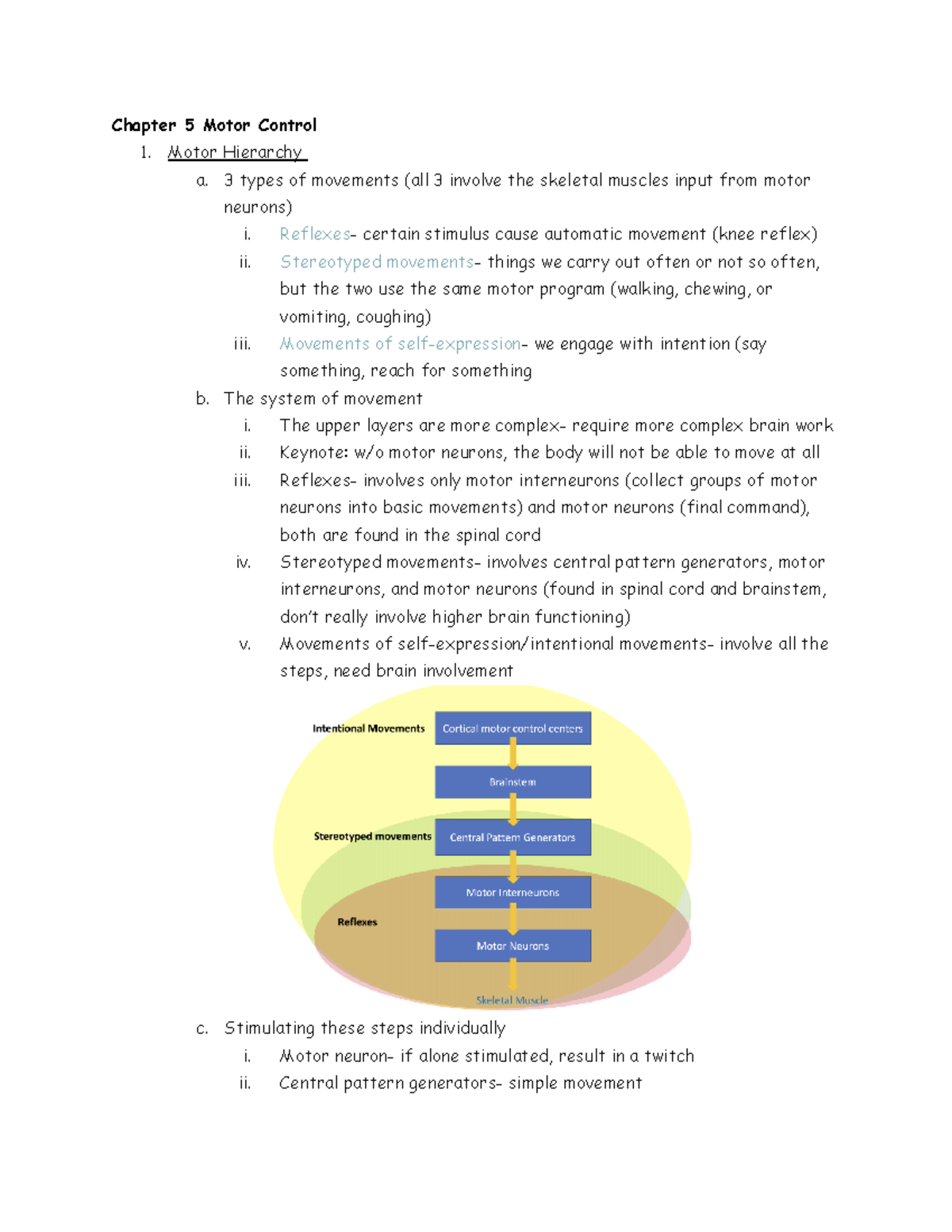 Chapter 5 (Motor Control) - Chapter 5 Motor Control 1. Motor Hierarchy ...