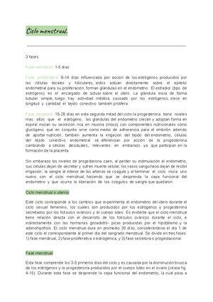 Psicologico - Semar - Examen - Me gustan las revistas de mecánica F ...