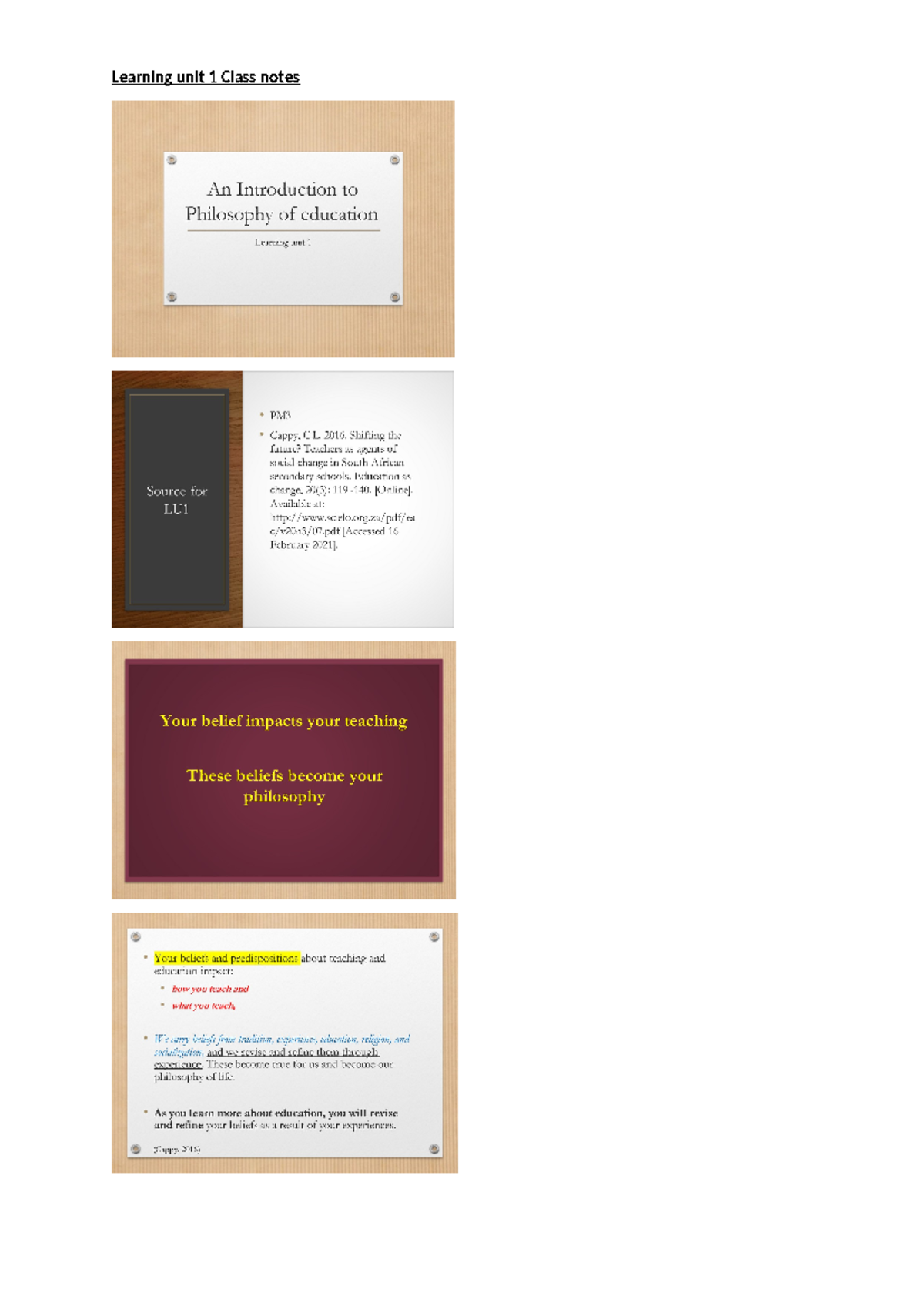 Learning unit 1 Class notes - Learning unit 1 Class notes An ...