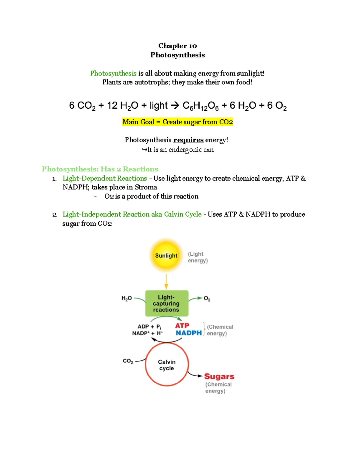 Chapter 10 Lecture - Chapter 10 Photosynthesis Photosynthesis is all ...