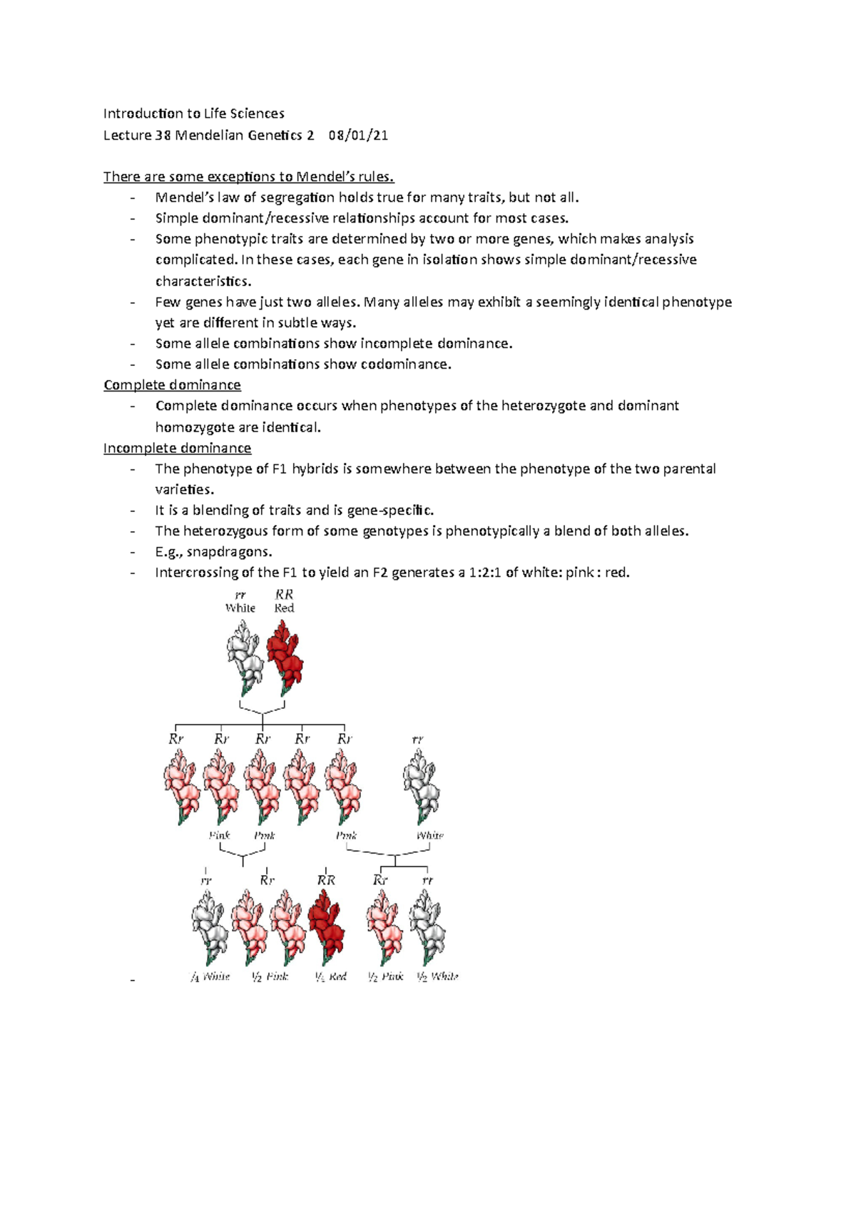 Mendelian Genetics 2 - Mendel’s law of segregation holds true for many ...