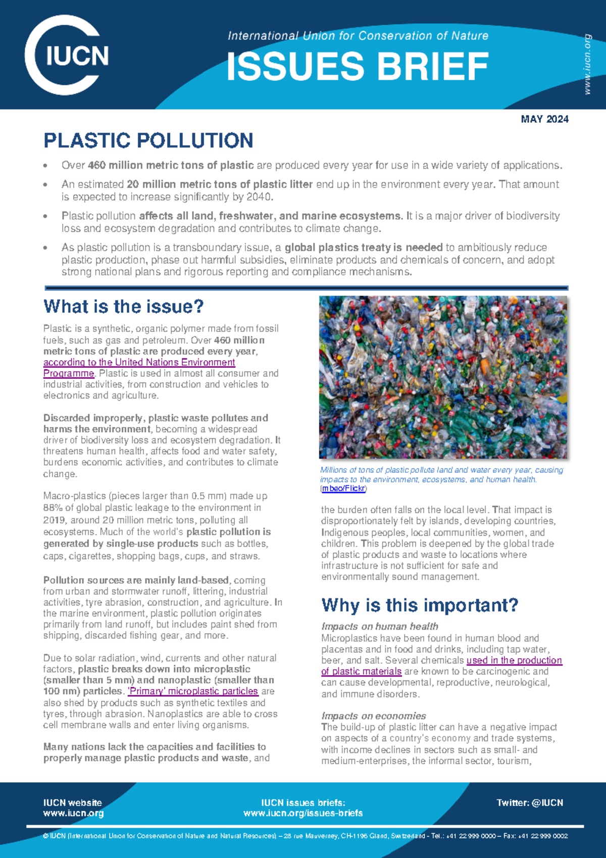 Plastic pollution issues brief may 2024 update - IUCN website IUCN ...