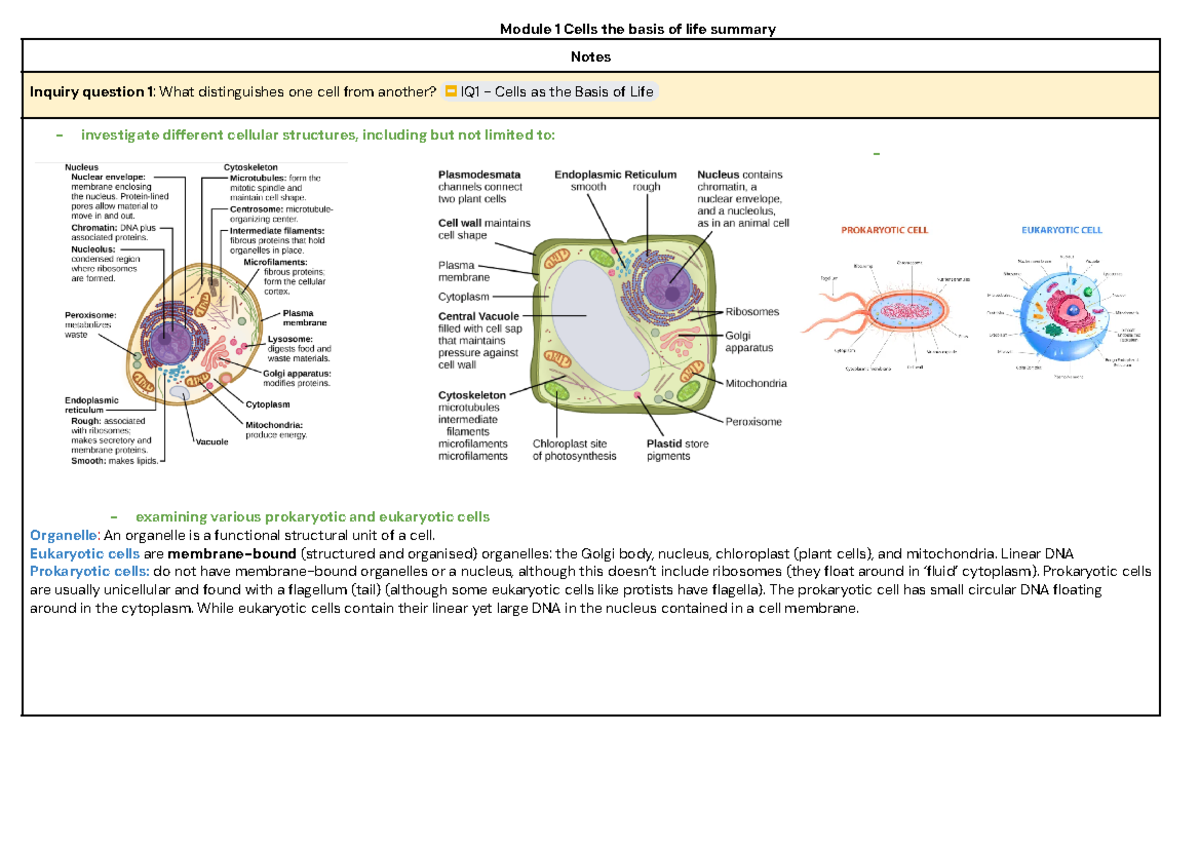 Module 1 Cells the basis of life - Eukaryotic cells are membrane-bound ...