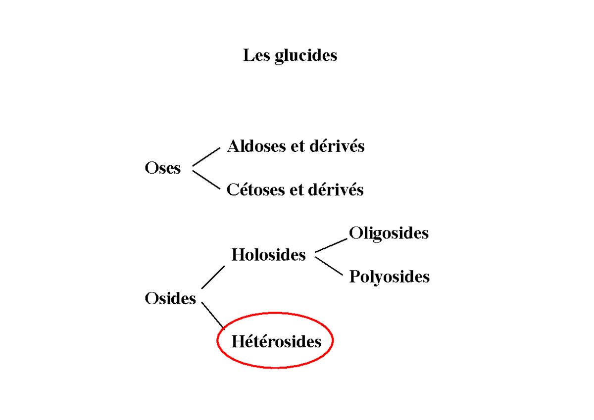 Polycop CM 1 Bio S JS 2023 - Les glucides Aldoses et dérivés Oses ...