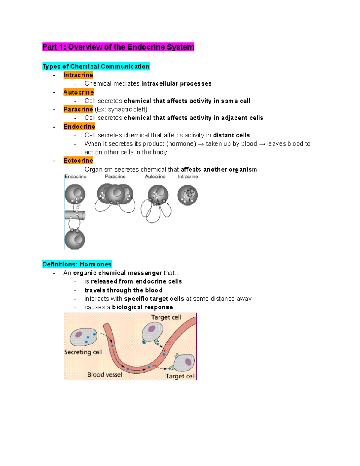 Lec. 2 (The Endocrine System Part 1 - BIOL 178) - Part 1: Overview of ...