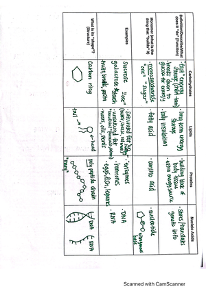 Chapter 2 Section 1 Guided Notes FF - Chapter 2 Section 1 Name