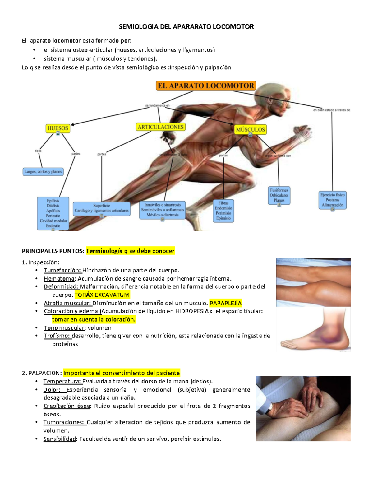 Prueba Sistema Locomotor