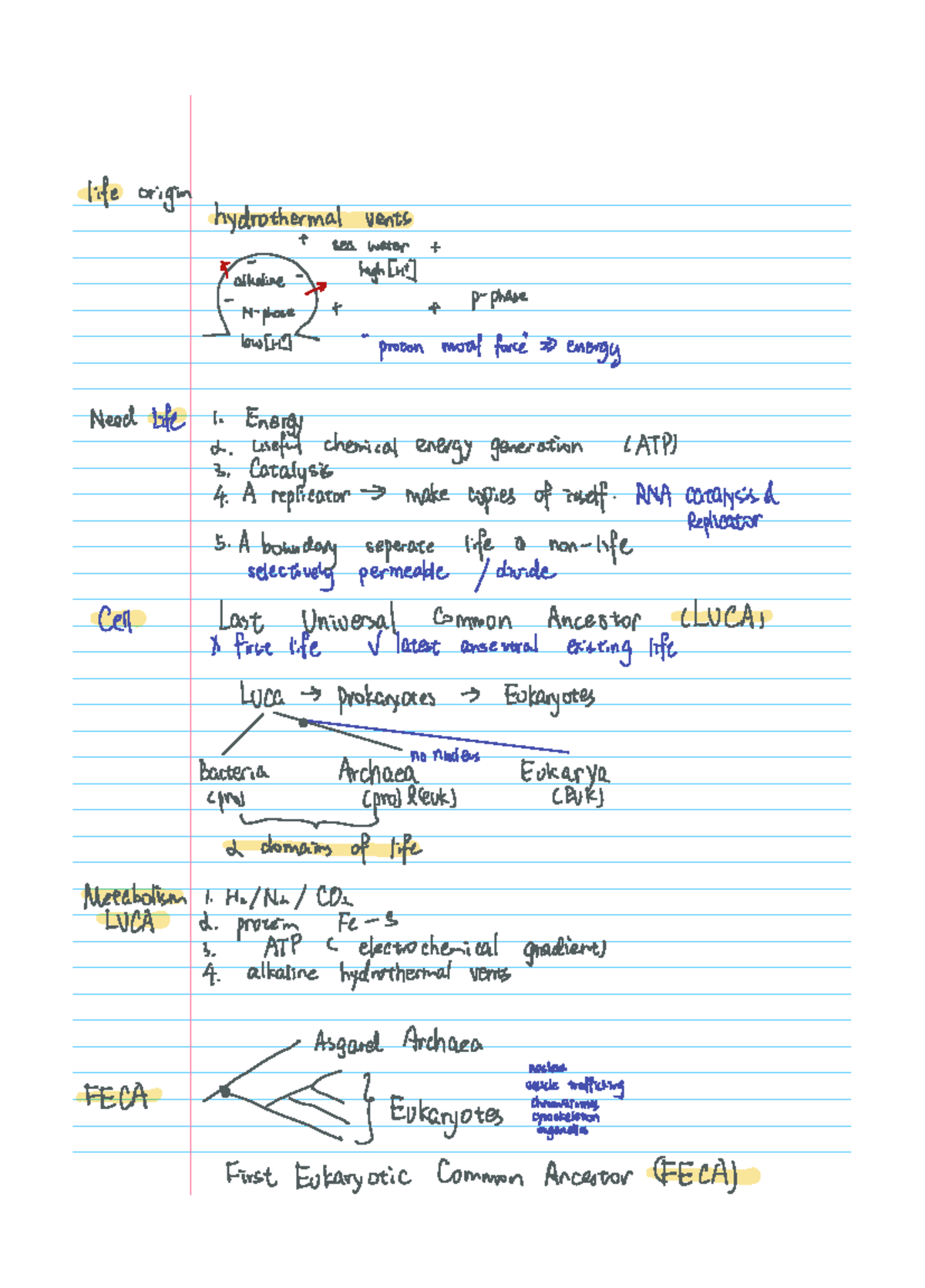 Hand notes - ife origin hydrothermal vents y y p phase low IN proton ...