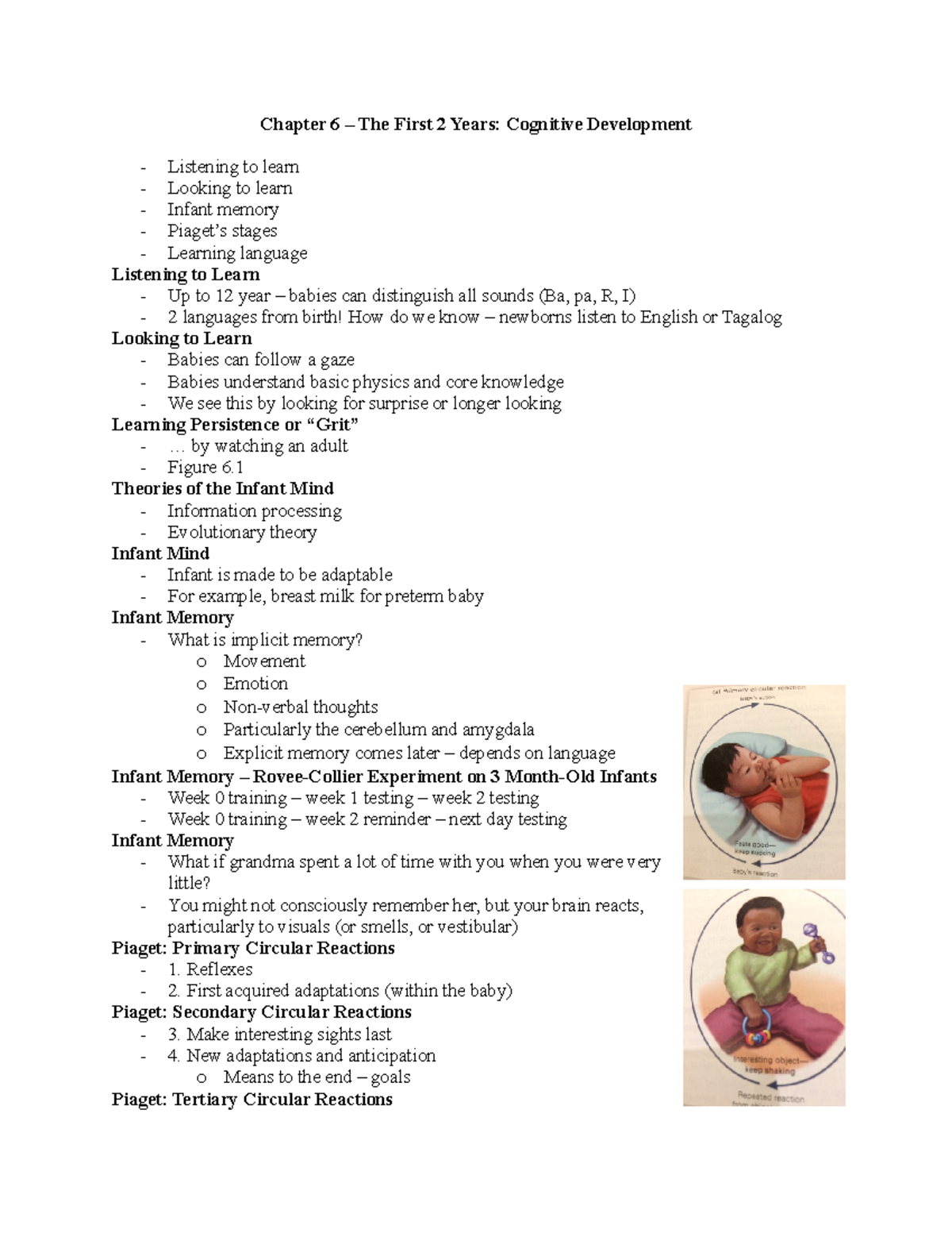 Chapter 6 - First 2 Years Cognitive Development - Chapter 6 – The First ...