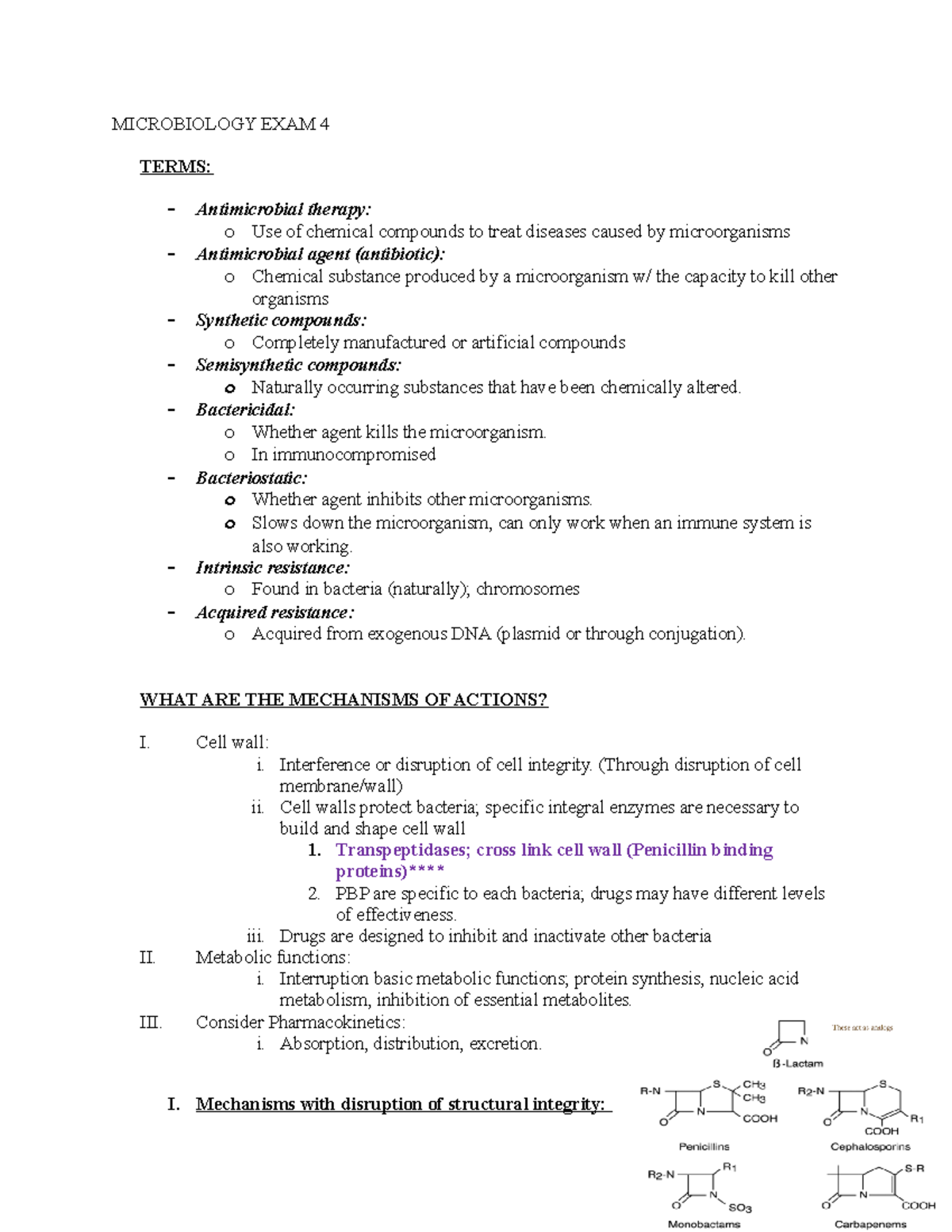 Microbiology EXAM 4 - Review Exam 4 - MICROBIOLOGY EXAM 4 TERMS ...