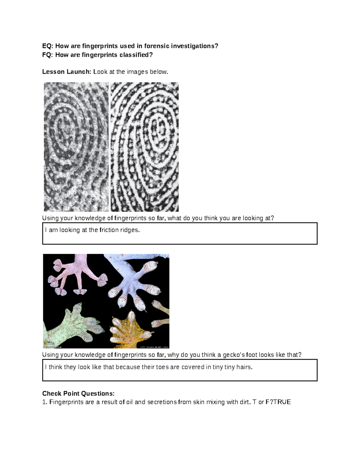 Fingerprints Are Cool - 3597660 - Google Docs - EQ: How are ...