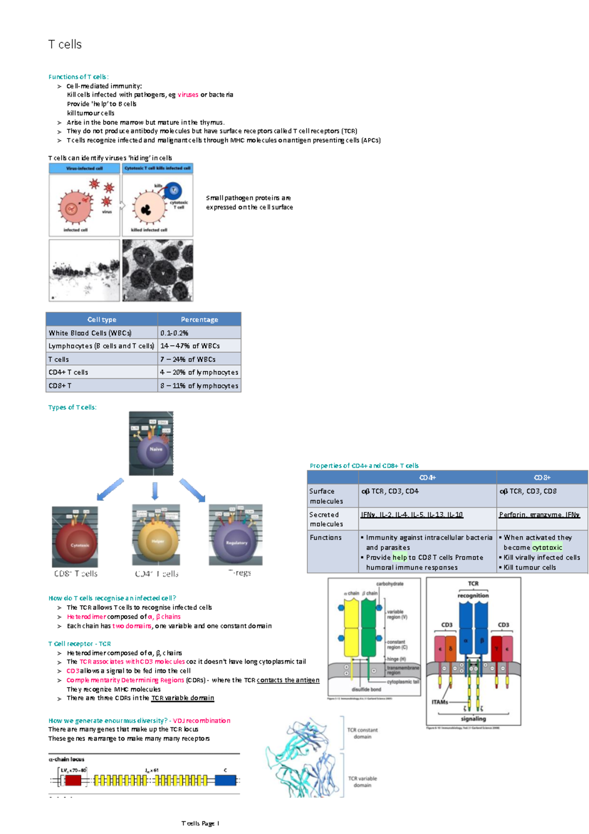 T cells overview - Lecture summary - in detail - BIOL2022 - Southampton ...