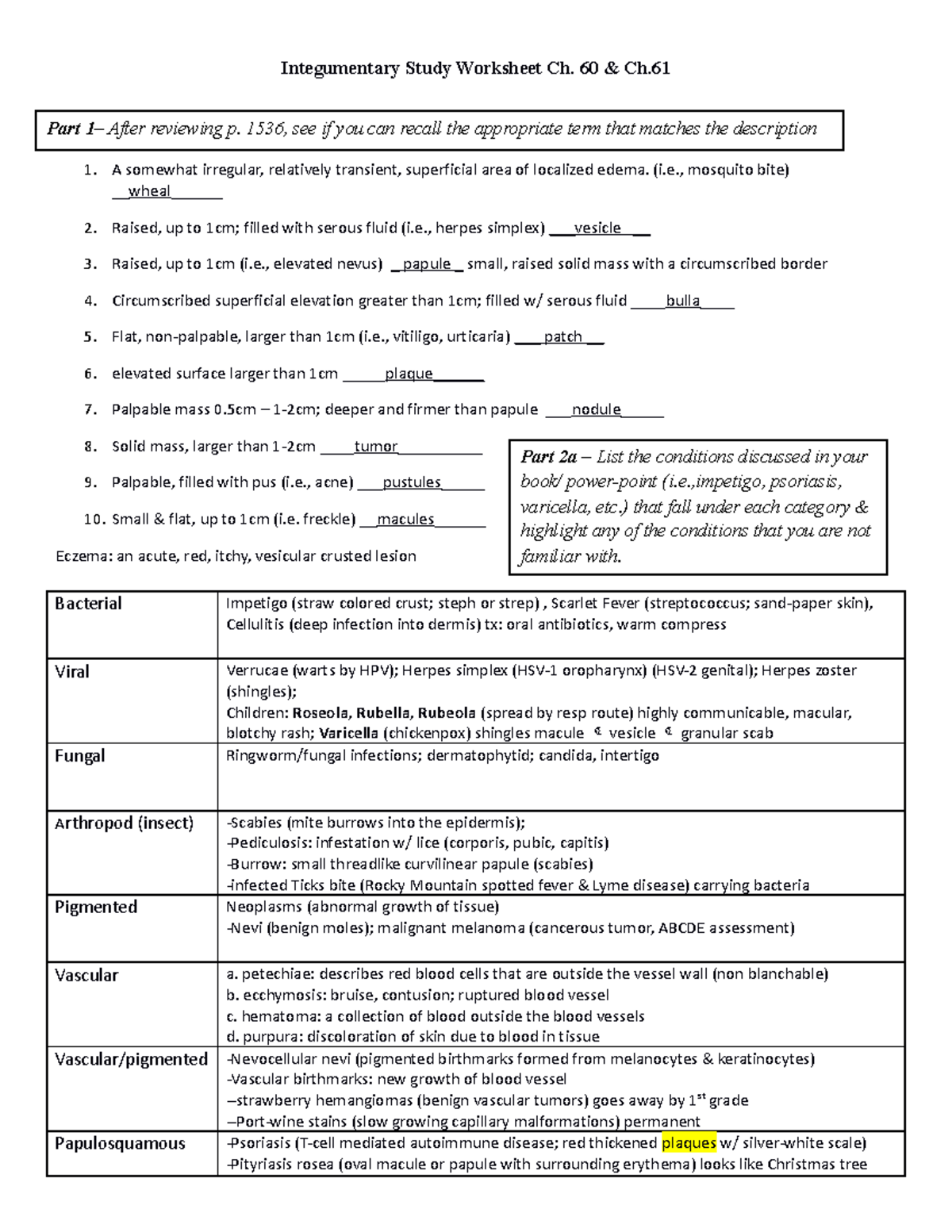 Integ worksheet - study guide - Integumentary Study Worksheet Ch. 60 ...
