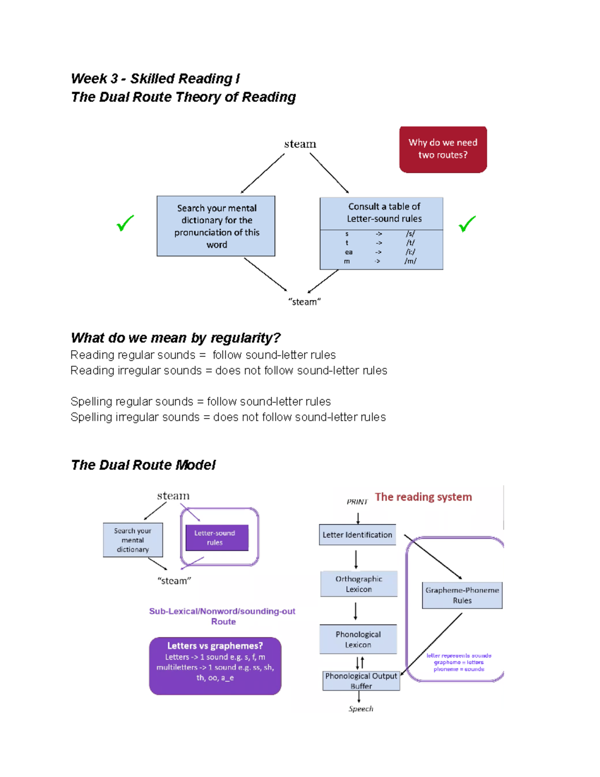 Week 3 Notes - COGS2050 - Week 3 - Skilled Reading I The Dual Route ...