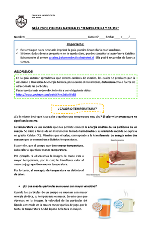 Sustancias puras y mezclas - Didáctica De Las Ciencias Naturales - Studocu