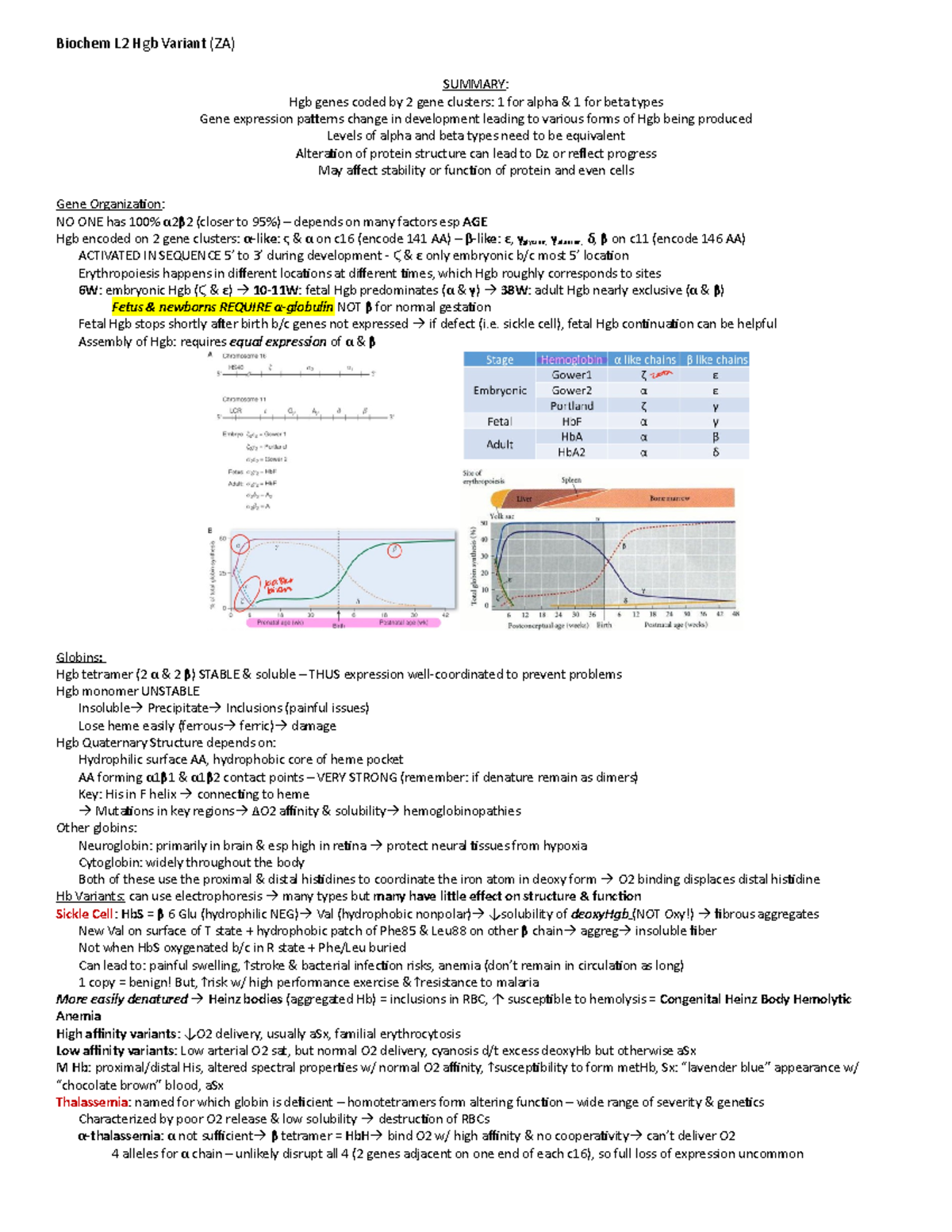 Biochem L2 Hgb Variant - sickle cell), fetal Hgb continuation can be ...