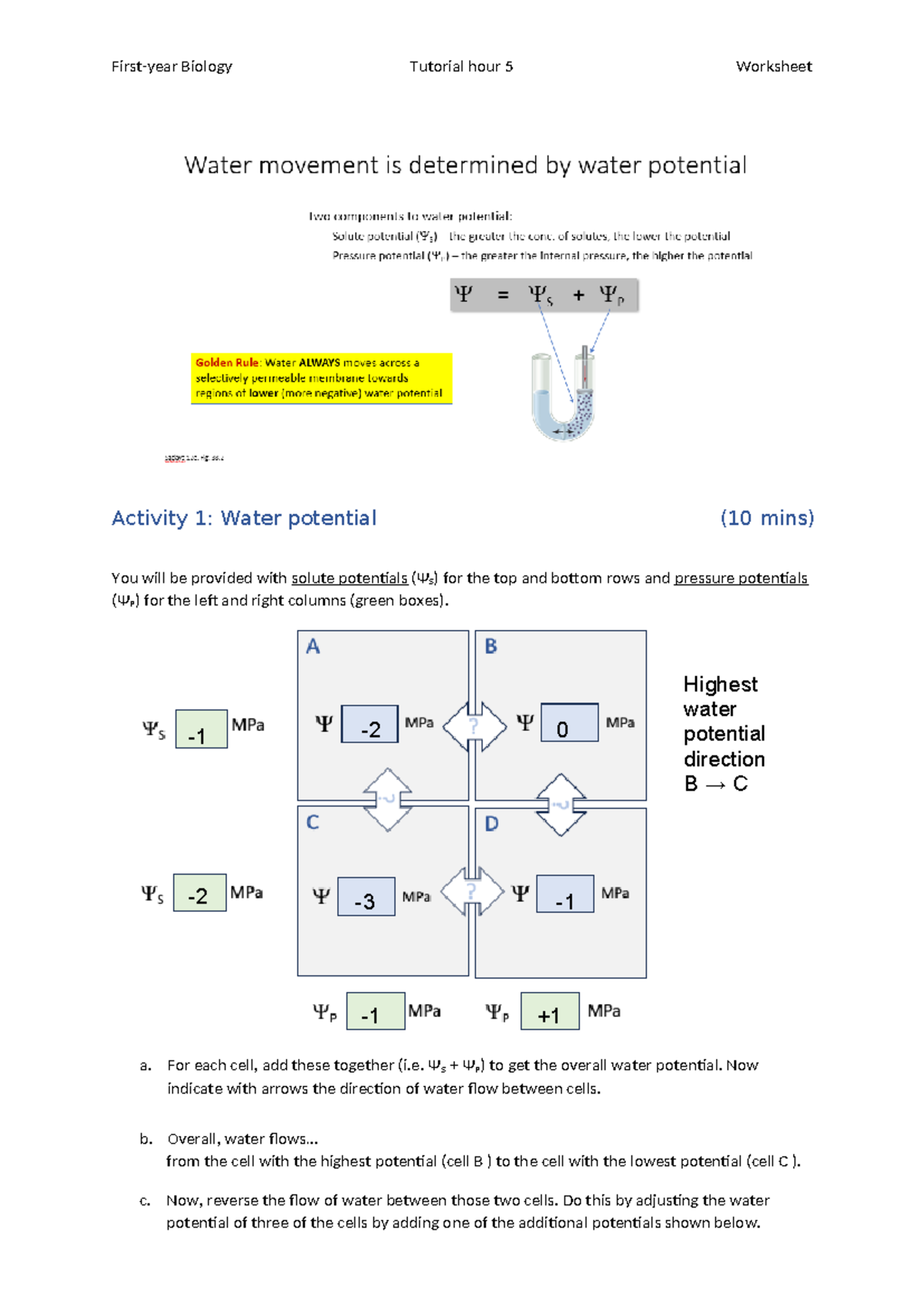 Tutorial hour 5 - worksheet - Activity 1: Water potential (10 mins) You ...