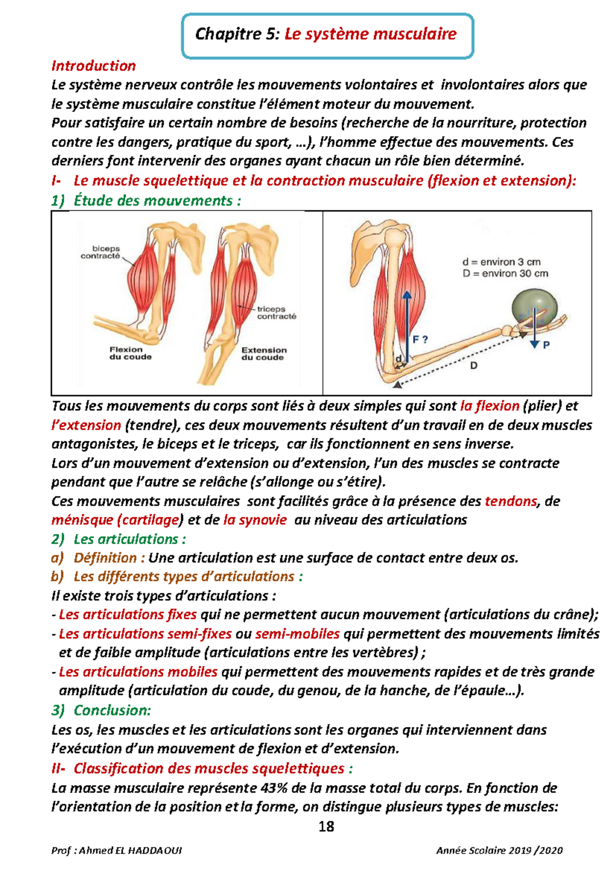 Le systeme musculaire cours ma - Chapitre 5: Le système musculaire ...