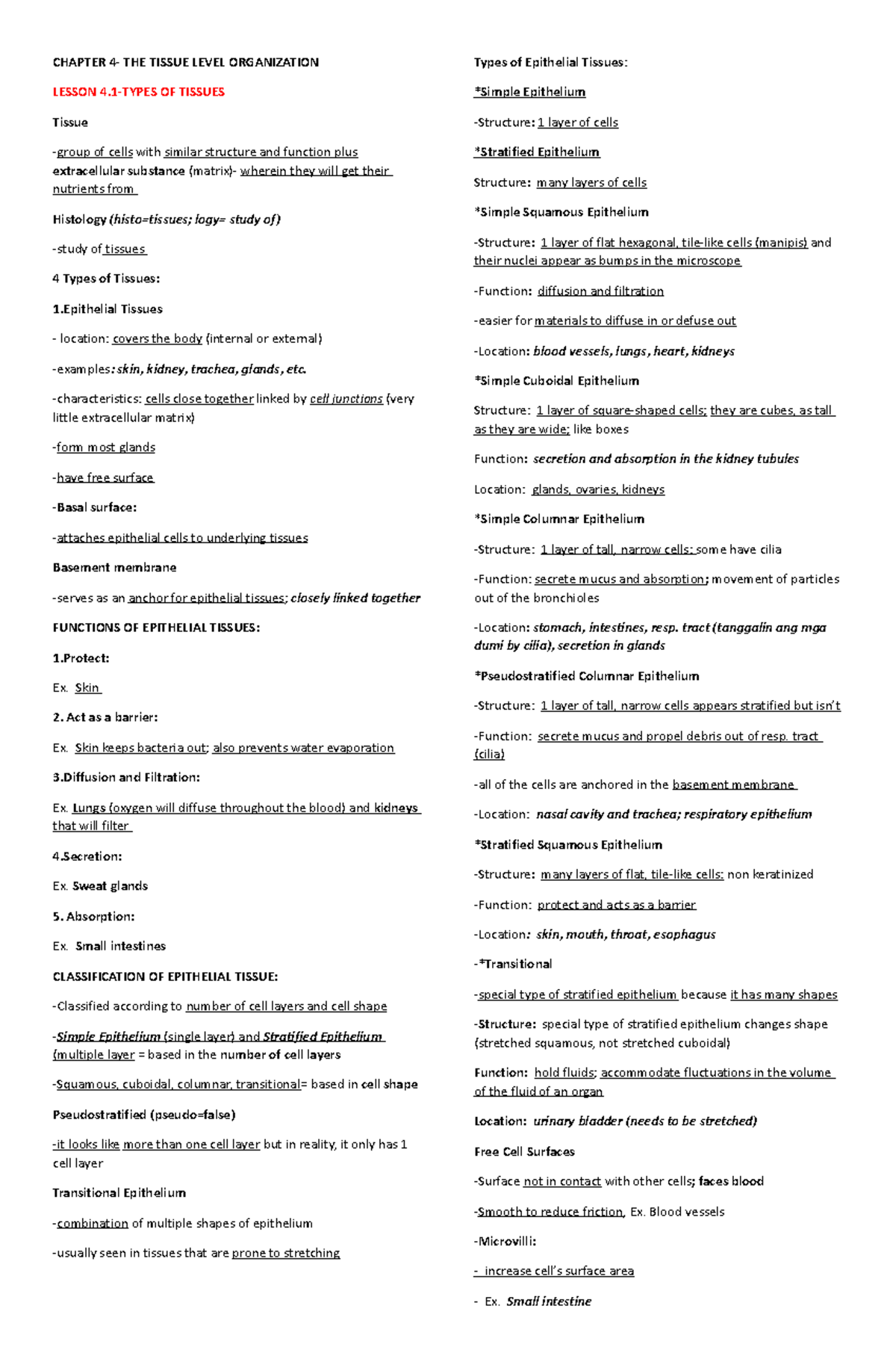 Anaphy- Chapter-4 - Notes in chap 4 - CHAPTER 4- THE TISSUE LEVEL ...