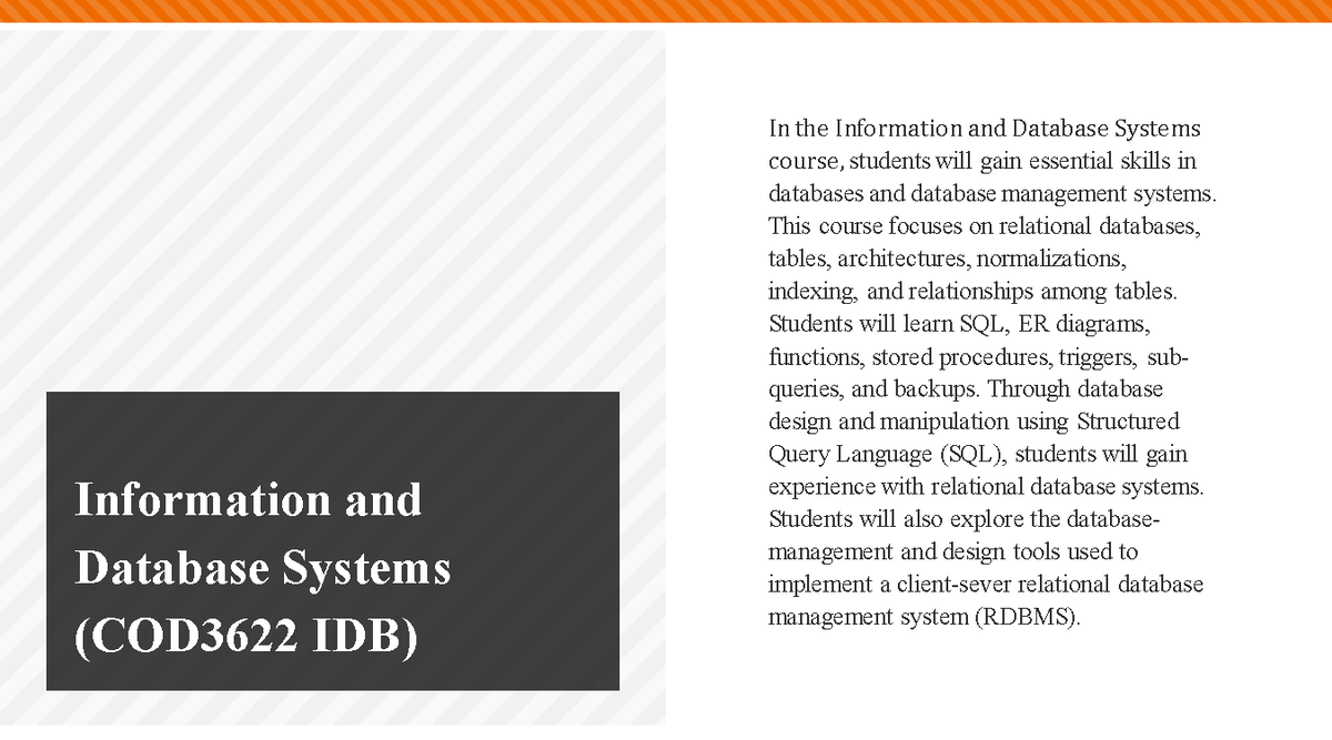 IDBSyllabus - The syllabus document - Information and Database Systems ...