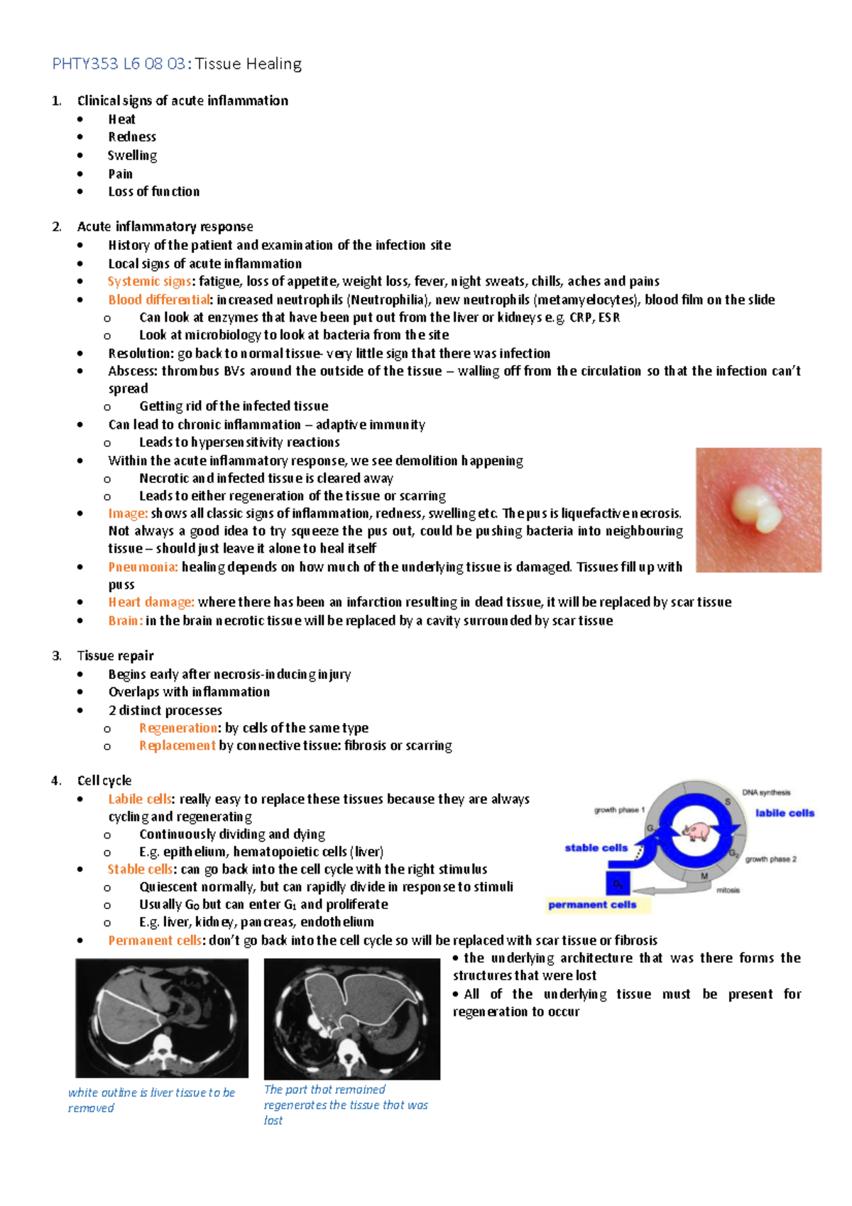 Pathology for Physiotherapy Lecture 6 - Warning: TT: undefined function ...