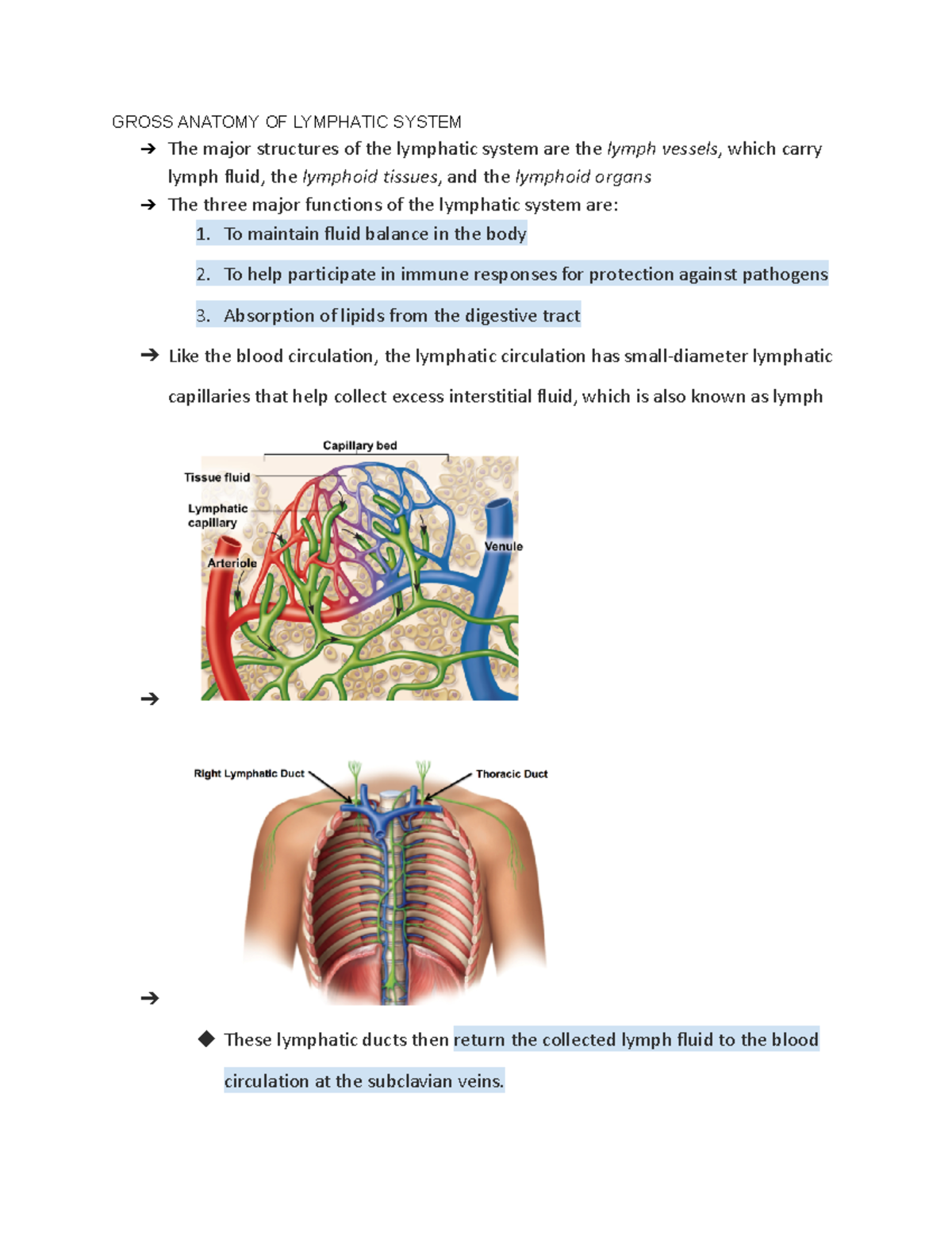 Prelab 5 notes - GROSS ANATOMY OF LYMPHATIC SYSTEM The major structures ...