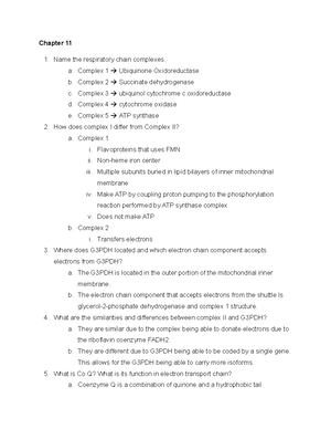 Chapter 9 - Outline - Chapter 9 – Major Pathways of Carbohydrate ...