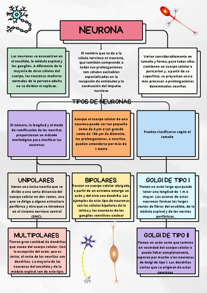 Tronco Encefalico - TRONCO ENCEFALICO INTRODUCCION El tronco encefálico ...