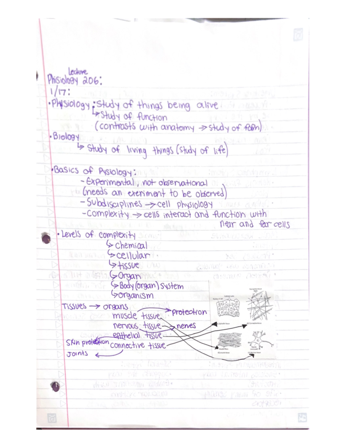 Introduction Lecture notes - PHIS 206 - Studocu