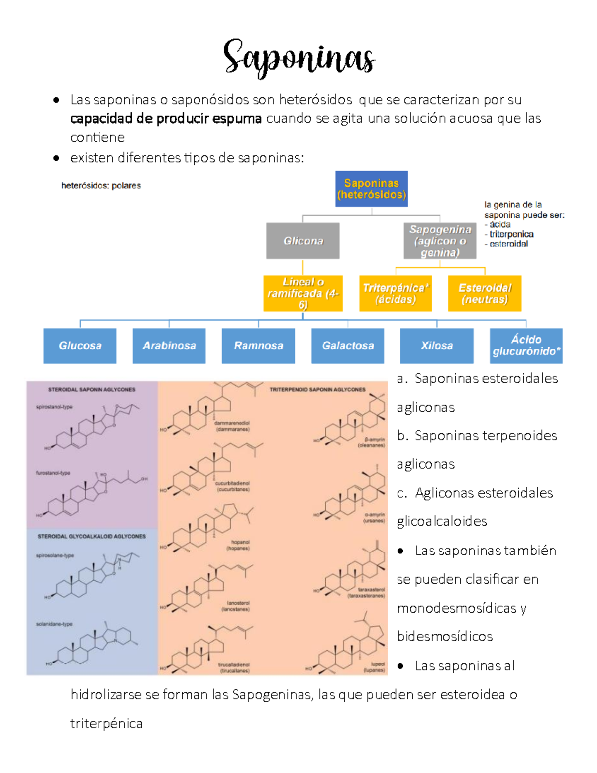 3-saponinas - Apuntes saponinas - Las saponinas o saponósidos son ...
