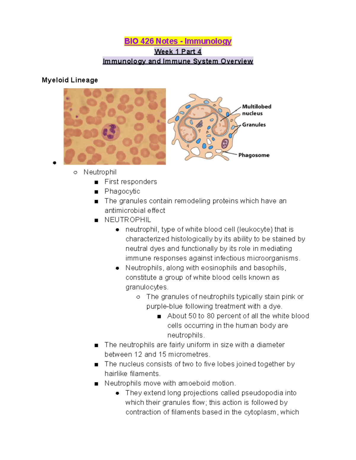 Bio 426 Week 1 Lecture Notes Part 4 Bio 426 Notes Immunology Week 1