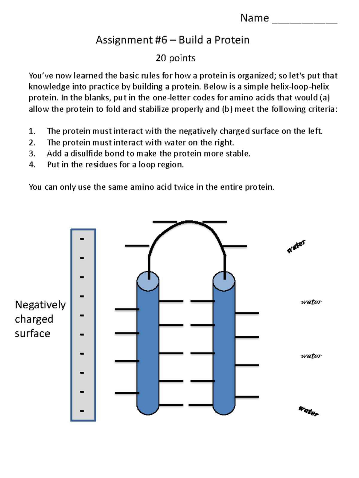Assignment #6 - Build a Protein - Assignment #6 – Build a Protein Name ...