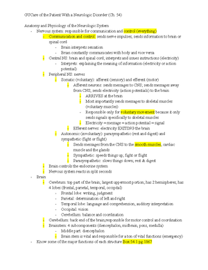ALT5 - Fall prevention ati basic concept - ACTIVE LEARNING TEMPLATES ...