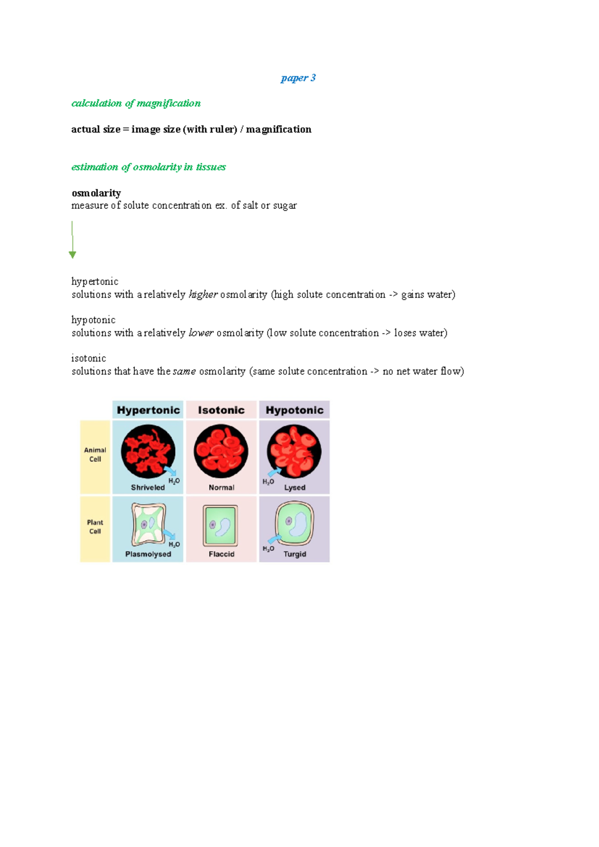 Biology exam - paper 3 calculation of magnification actual size = image ...