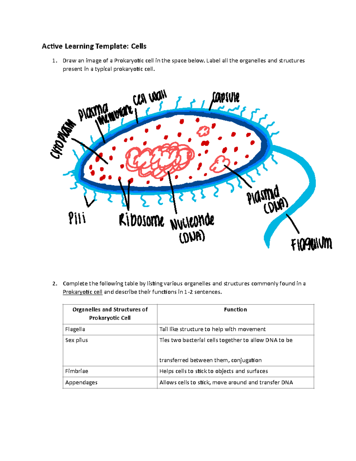 Bio 242 ALT Answers pdf - Microbiology - Ac#ve Learning Template: Cells ...