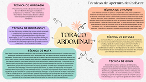 Resumen Grado - Elementos Constitutivos y Morfológicos de la ...