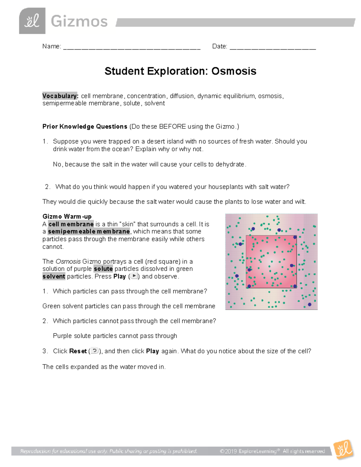 Osmosis Gizmo Worksheet - Name ...
