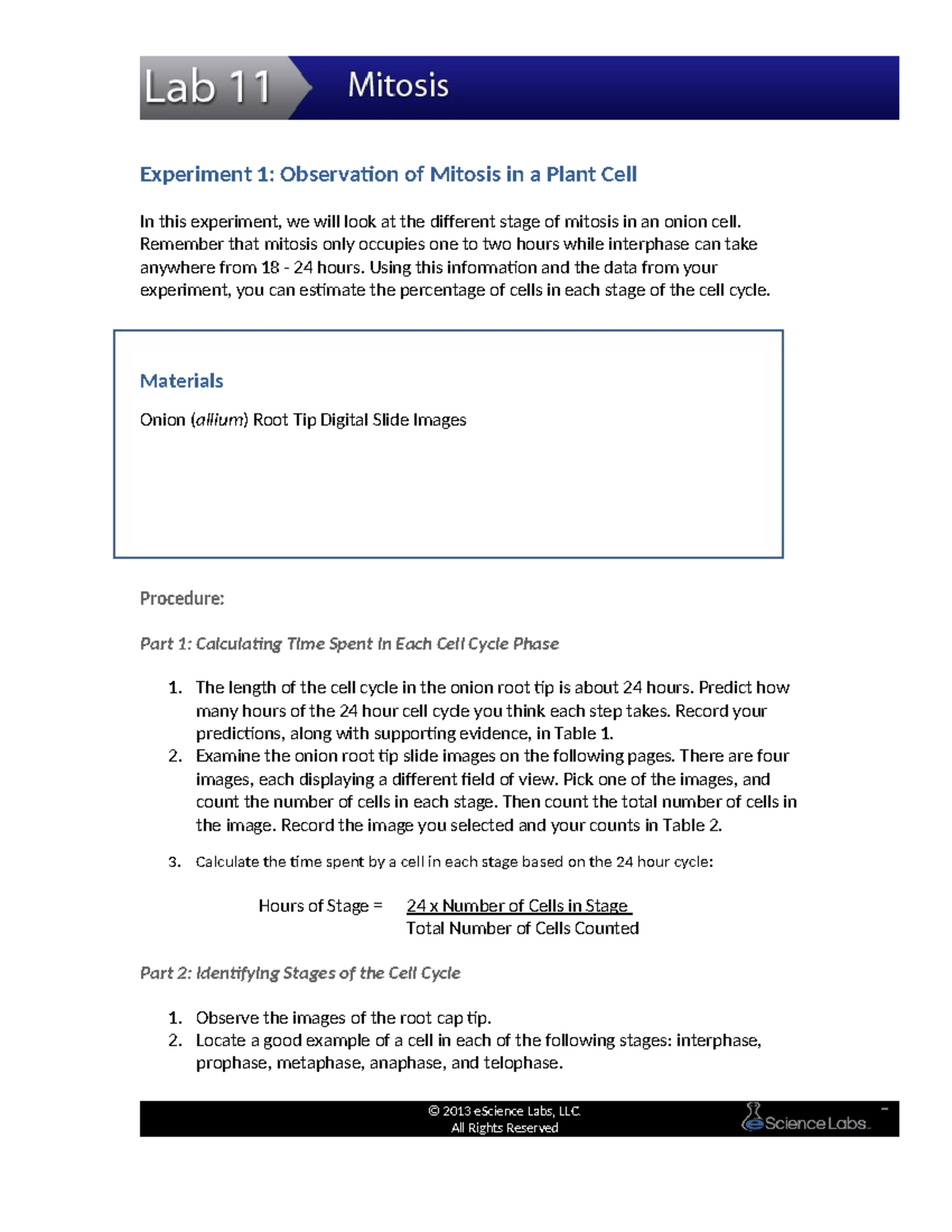 Lab007exp001 - Answers to the lb - Experiment 1: Observation of Mitosis ...