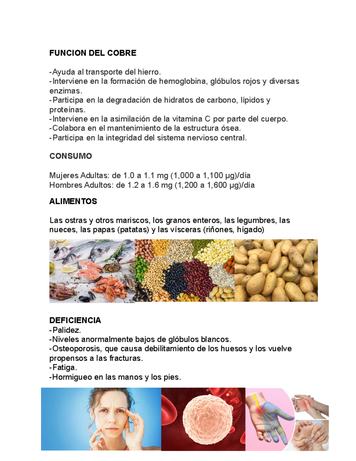 Cobre - FUNCION DEL COBRE -Ayuda al transporte del hierro. -Interviene en la formación de - Studocu